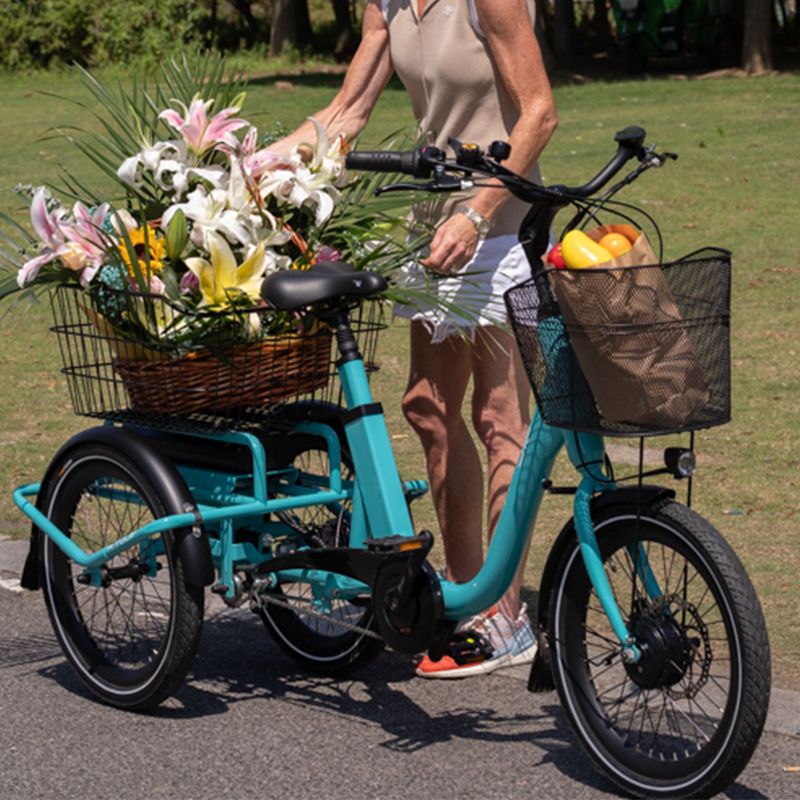 Electric Tricycle - Heal Mini - United Mobility